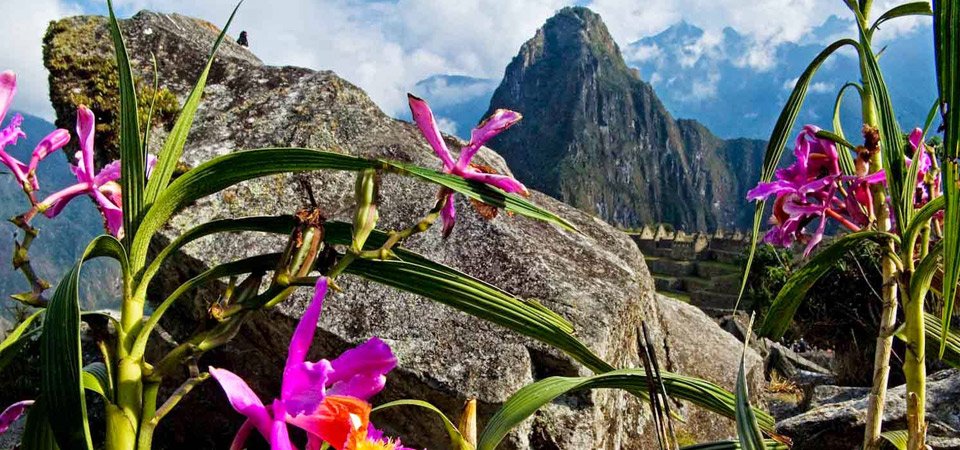 Tours y Viajes por el Perú y el mundo - NotiViajeros